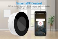 China Wifi Combustible Gas Detector LCD Thermostat Disply Tuya App Control Gas Sensor for sale