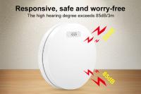 China Photoelectric Smoke Alarm With 10-Year Lithium Battery Battery Operated CO Detector for sale