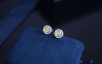 China Women Stamped Diamond 925 Sterling Earrings Stud Zirconia Jewellery for sale