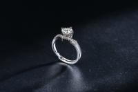 China 0.5 1 Carat 6 Prong Moissanite Engagement Ring D VSS1 925 Sterling Silver Custom for sale