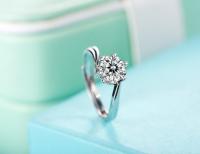 China D VSS1 Moissanite Jewelry 925 Sterling Silver 0.5/1/2/3 Carat Diamond for sale