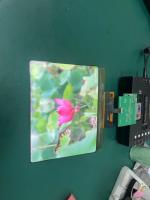 China 8 Inch Amoled Display Module 1860×2480 MIPI Interface Driving IC RM69380 430C/D for sale