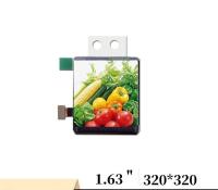 China 1.63 Inch AMOLED Display Panel 320x320 MIPI Interface For Smart Wearables for sale