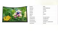 China 55 Inch Flexible AMOLED Display 1920x1080 MIPI 400cd/M² For Curved TVs for sale