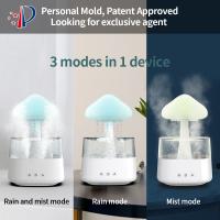China Rain Cloud Humidifier 450ml USB Type C Adjustable Water Flow 7 Color Light Aroma Diffuser for sale