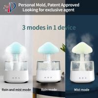 China Patent Approved Rain Cloud Humidifier 450ml Cool Mist Diffuser with 7 Color LED Night Light for sale