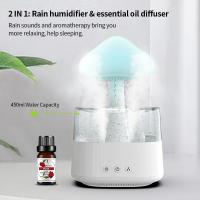 China 450ml Ultrasonic Mushroom Aroma Humidifier with White Noise Rain Sound 5V USB Type C for Home Office for sale