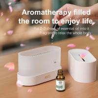 China CE Approved Custom Logo Fire Flame Humidifier 180ml Quiet Aroma Diffuser for Large Room for sale