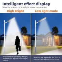 China 12V 250w LED Solar Street Lights Smart Control Brightness Panel Lamp for sale