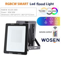 China Waterproof Outdoor RGB LED Floodlight Smart IP66 LED Flood Light 100W for sale