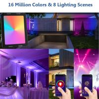 China Waterproof Outdoor RGB LED Floodlight Smart IP66 LED Flood Light 100W for sale