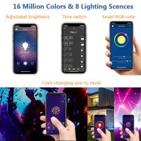 China Waterproof Outdoor RGB LED Floodlight Smart IP66 LED Flood Light 100W for sale