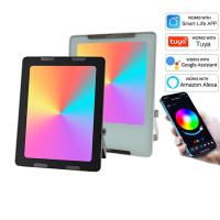 China Waterproof Outdoor RGB LED Floodlight Smart IP66 LED Flood Light 100W for sale