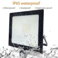 China Custom LED Parking Lot Flood Lights 10w 20 Watt Ip65 Pir Floodlight for sale