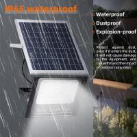 China Brilliant IP65 Outdoor Solar Flood Lights Economical Weatherproof for sale