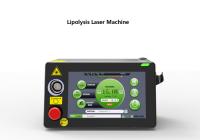 China 30W Portable Diode Laser Lipolysis Machine for Fat Removal and Skin Tightening for sale