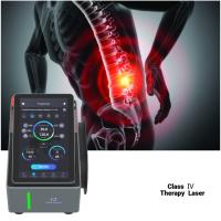 China Portable Class 4 Laser Therapy Machine 980nm 810nm for sale