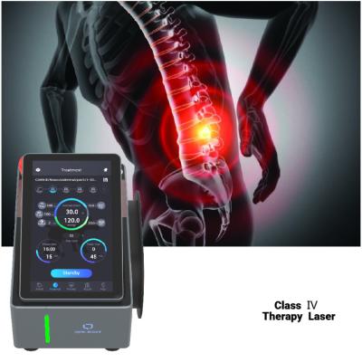 China Portable Class 4 Laser Therapy Machine 980nm 810nm for sale