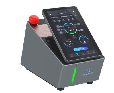 China Portable Veterinary Laser Therapy Machine 915nm Pain Free Laser Treatment for Pets for sale