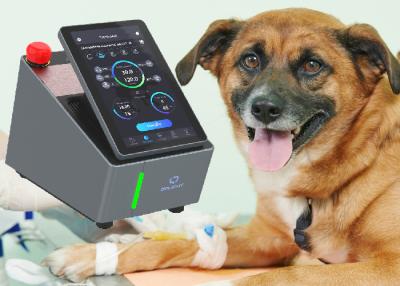 China Veterinary Laser Therapy Machine 915nm Equine Laser Therapy Equipment 10min for sale