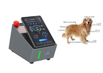 China Veterinary Laser Therapy Equipment 810nm 980nm CW Mode Class 4 for Dogs for sale