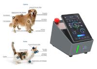 China CE Veterinary Laser Therapy Machine Painless Class Four 810nm for sale