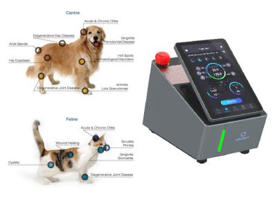 China CE Veterinary Laser Therapy Machine Painless Class Four 810nm for sale