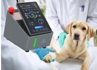 China Level Four Equine Laser Therapy Machine 8 Watt Pain Free for sale