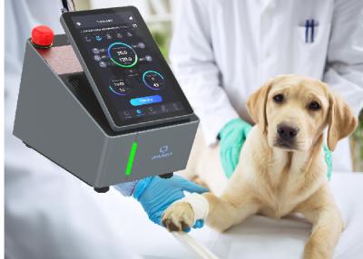 China Level Four Equine Laser Therapy Machine 8 Watt Pain Free for sale
