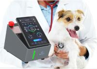 China Drug Free Diode Laser Machine 915nm Veterinary Laser Therapy for Cats Dogs Pain Relief 10W for sale