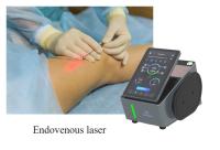 China 1064nm 30W Diode Laser for Vascular Lesion Treatment Soft Tissue Surgery for sale