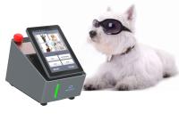 China Class IV Quad Wavelength Pet Veterinary Laser Therapy Machine for sale
