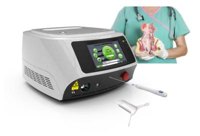 China Dual Wavelength 980nm 1470nm Proctology Laser Machine for Anal Fistula Hemorrhoid Treatment for sale