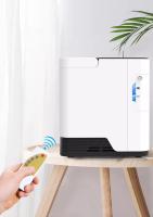 China 1-3l Travel Oxygen Concentrator Continuous Flow , Mini Car Oxygen Concentrator for sale