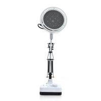China Tabletop Medical Magic TDP Infrared Heat Lamp Pain Relief For Elderly Care for sale