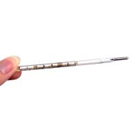China 42c Prism Glass Thermometer Oral , 32C Thermometer Glass Mercury for sale