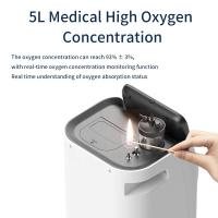 China Portable 400va Oxygen Concentrator 5l With Nebulizer Function , 50hz Oxygen Concentrator 10 Liter 220v for sale