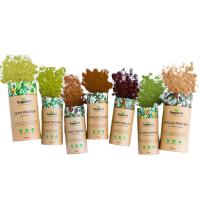 China Biodegradable Airtight Food Grade Paper Tube Packaging 1000pcs Custom Size for sale