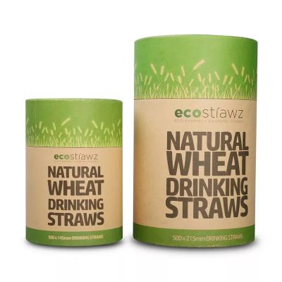 China OEM Kraft Paper Food Tube Packaging Eco Friendly Custom Size Cylinder Tea Cardboard Box for sale