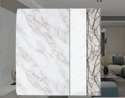 China Shandong Entertainment Household Texture Background Uv Pvc Sheet Flexible Headboard Modern Pvc Boards Uv Spc Marble Wall Panels for sale