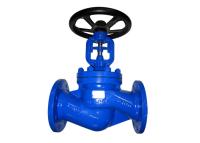 China 4 Inch Stainless Steel Globe Valve GS C25 DIN PN16 PN25 Air Steam Bellows Seal for sale
