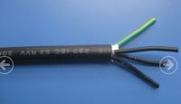 China ECHU Round Elevator Cable RVV TVV 300/500V Flexible Control Cable for Elevator Well for sale