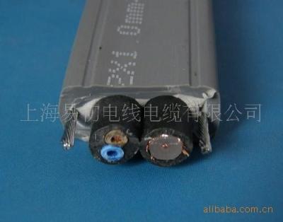 China Flat Travel Elevator Cable with CCTV TVVBG-TV 300/500V 80m Free Suspension for sale