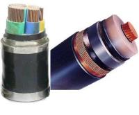China 0.6/1KV XLPE Insulation YJV Power Cable，ECHU Power Cable for sale