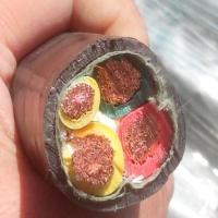 China VFD Double Shield Control Cable 0.6/1KV ZR-BPYJVRP for Steel Factory Vietnam for sale