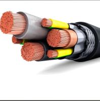 China VFD Double Shield Cable 0.6/1KV ZR-BPYJVRP for Steel Factory Vietnam for sale