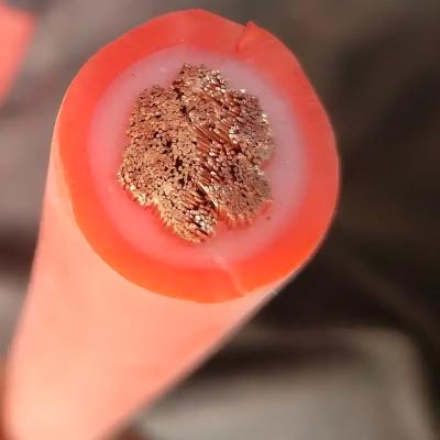 China E550028  ECHU CABLE UL3641 180°C 3300V Silicone Rubber Single-Core Cable for sale
