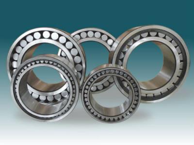 China C4044V full complement roller set CARB bearing for sale