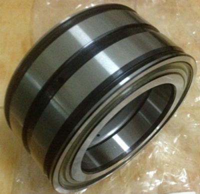China SL045060PP double row full complement cylindrical roller bearing,sealed bearing for sale