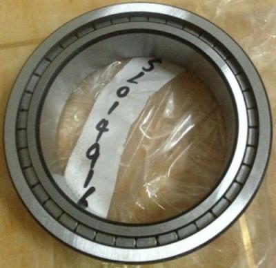 China SL014916 cylindrical roller bearing,full complement,double row for sale